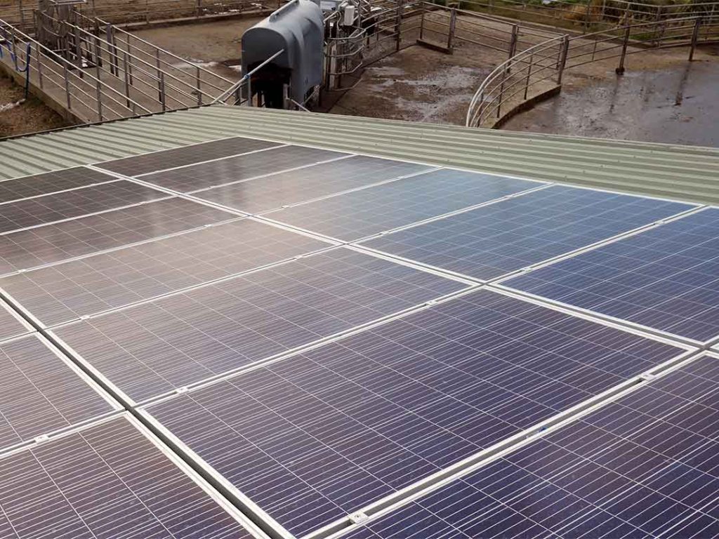 Sunergy Solar | Agricultural Solar for Farms in South Island