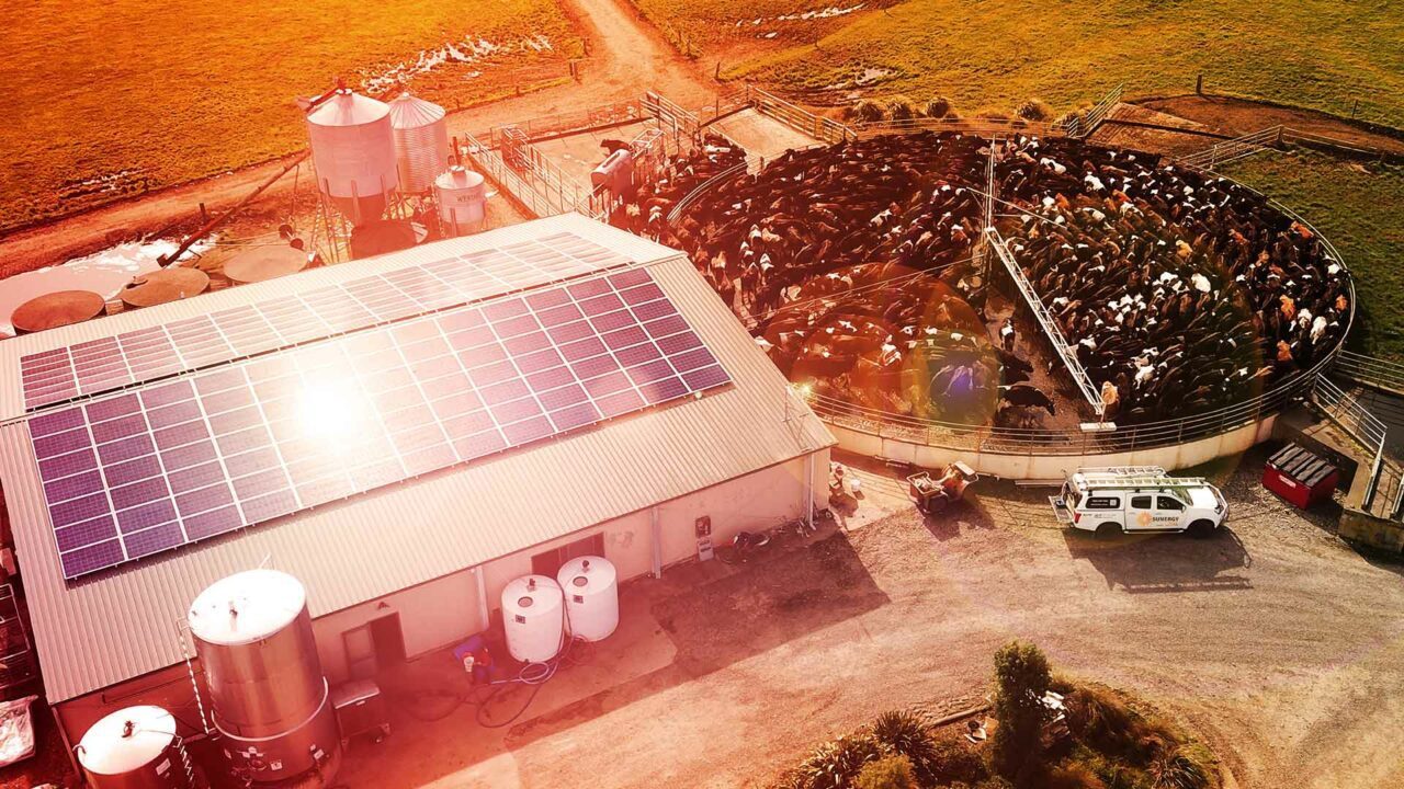 Sunergy Solar | Solar Power install on Dairy Farm shed