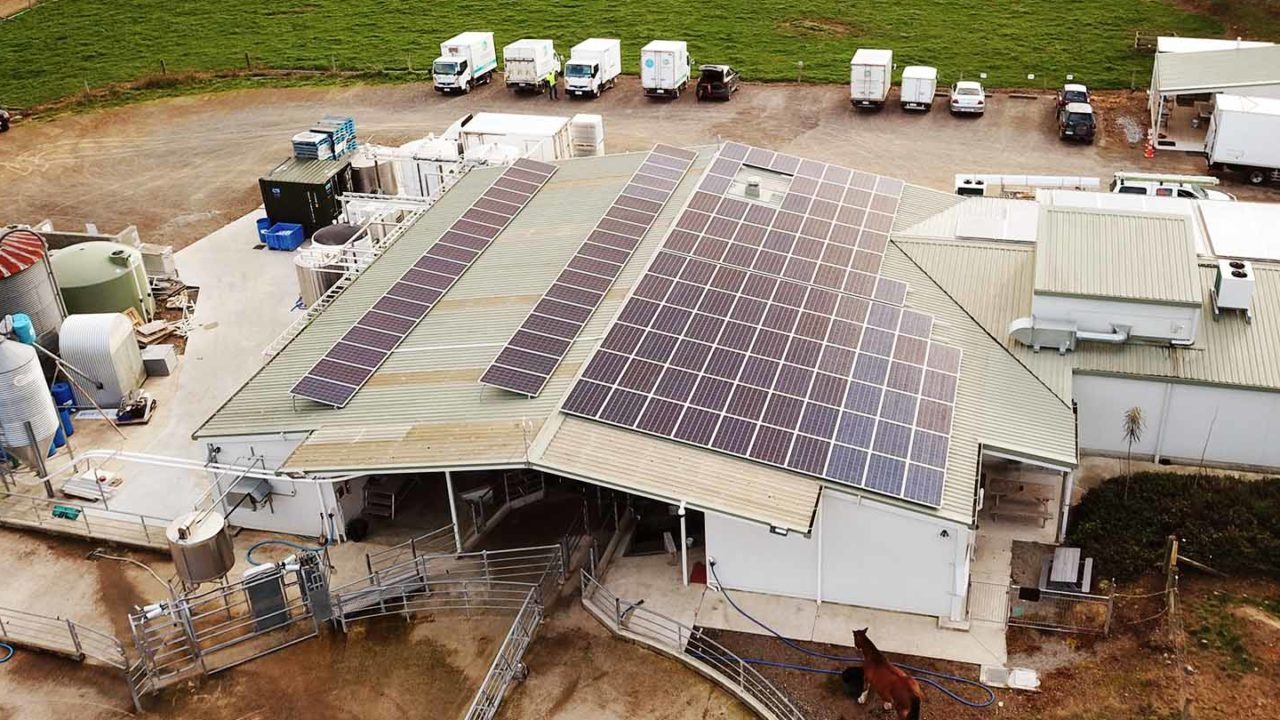Sunergy Solar | Agricultural Solar for Farms in South Island